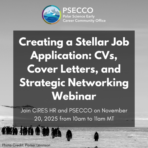 PSECCO: Creating a Stellar Job Application: CVs, Cover Letters, and ...